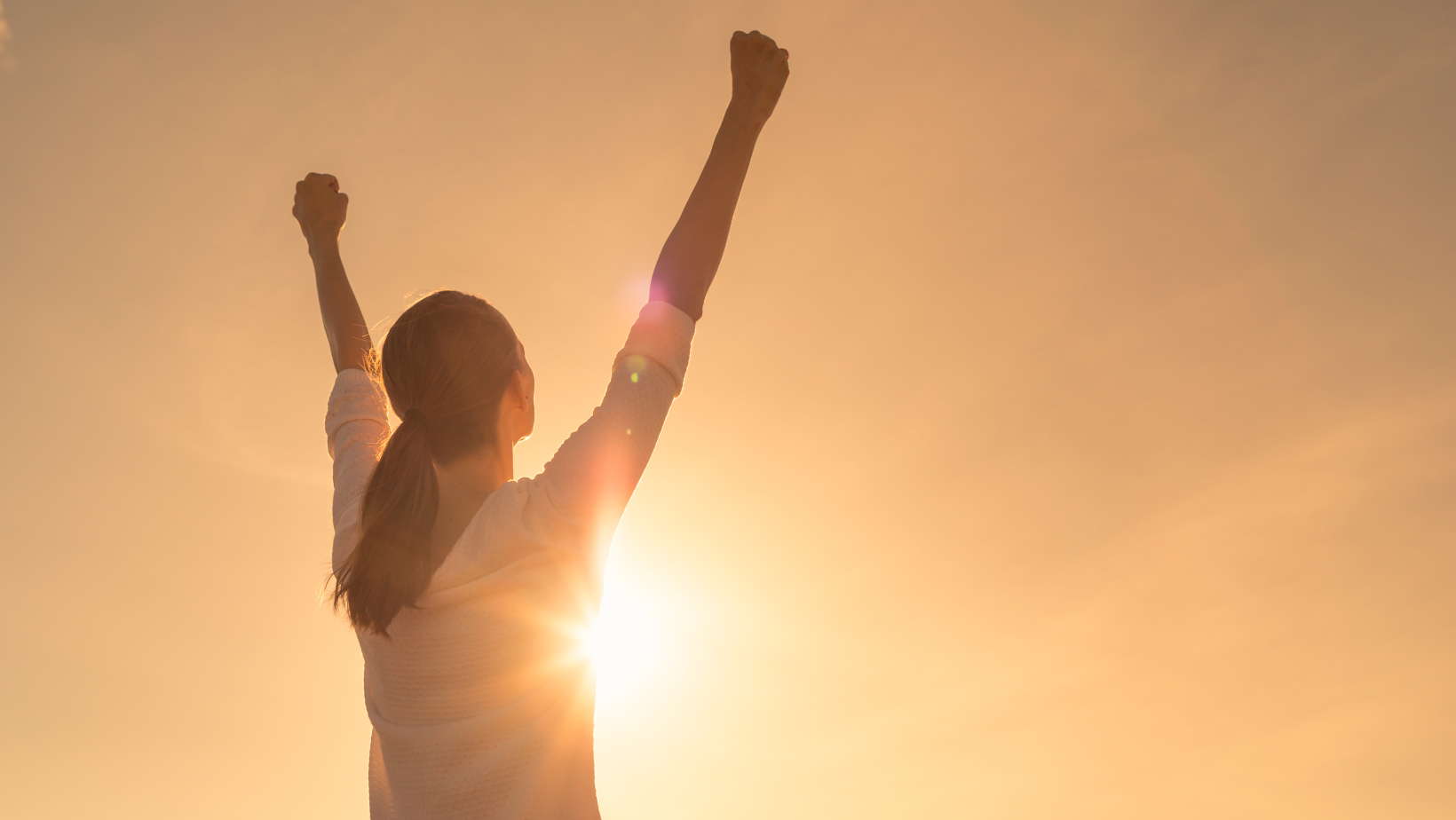 Safe, Strong, and Sober Program – Domestic Violence Action Center