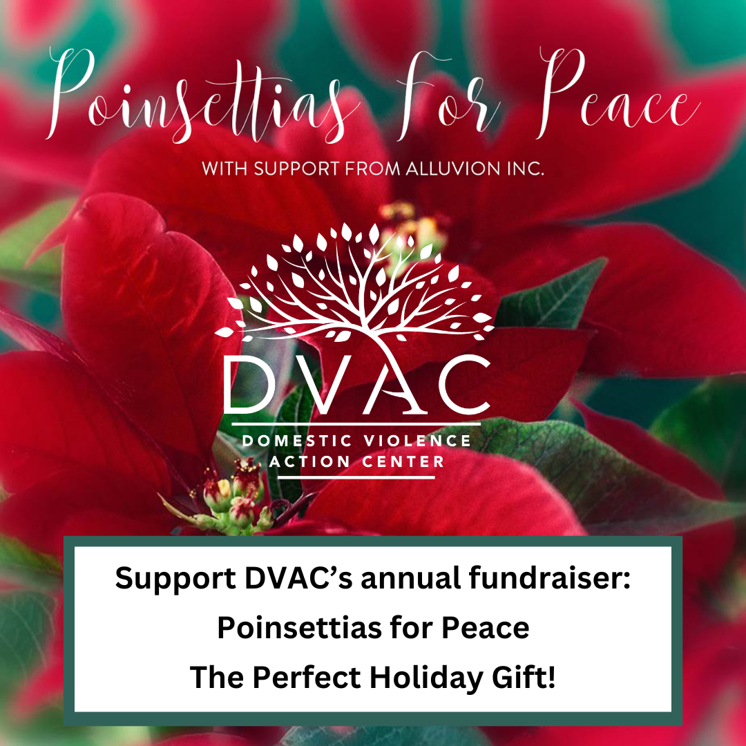 Domestic Violence Action Center